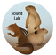 Sciurid Lab