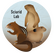 Sciurid Lab